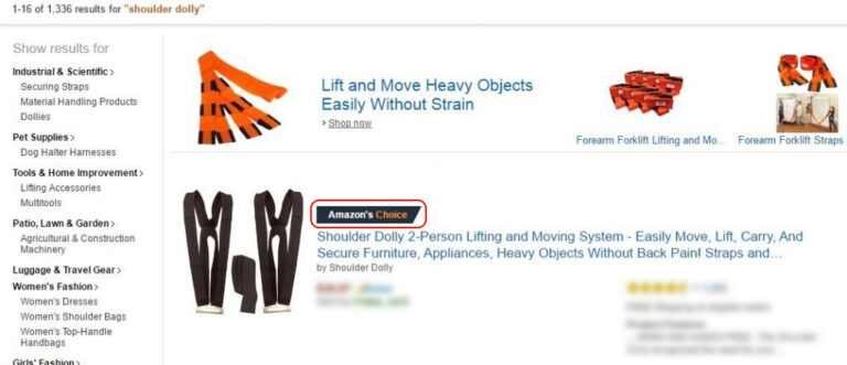 Amazon Choice vs Best Seller: Which One Should You Target?