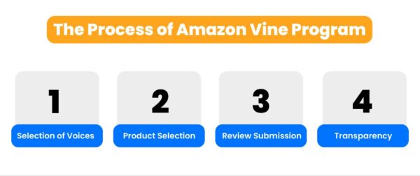 Amazon Vine Program; Guide To Boost Sales & Drive Customers