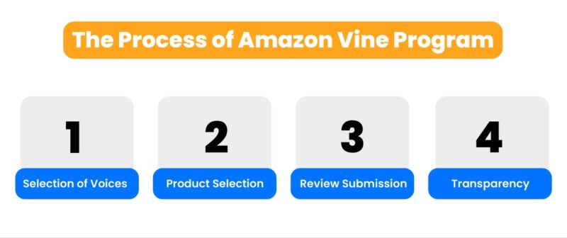 Amazon Vine Program; Guide To Boost Sales & Drive Customers