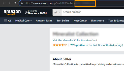 Amazon Storefront Link: How to Get & Customize Your URL