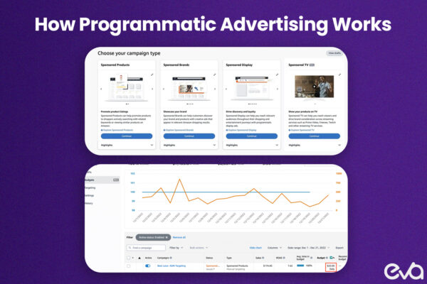 The Power of Programmatic Advertising in Digital Campaigns (2025)